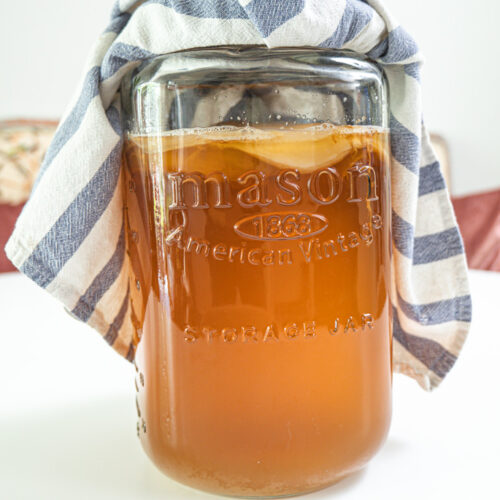 Growing A Scoby: How To Grow A Scoby - The Edgy Veg